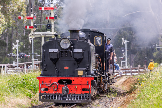 Puffing Billy celebrates 125 years | Lilydale Star Mail